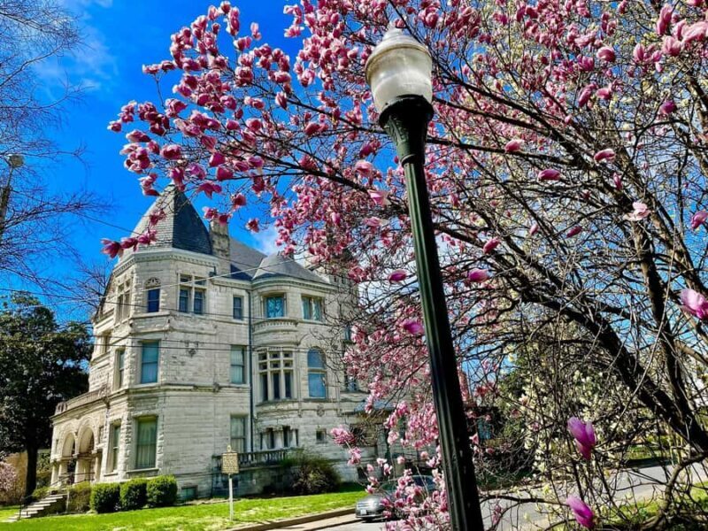 Old Louisville: History and Architecture Walking Tour - Who Should Consider This Tour?
