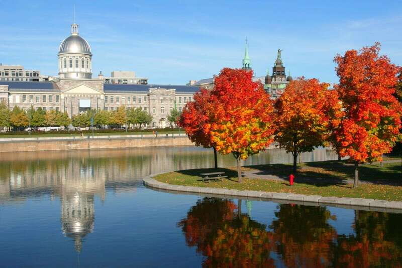 Old Montreal Private Walking Tour with Cruise Tickets - Exploring Old Montreal: A Walk Through the Past