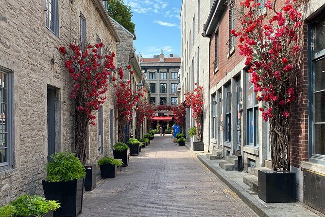 Old Montreal Walking Tour with Local Guide - Who Will Love This Tour?