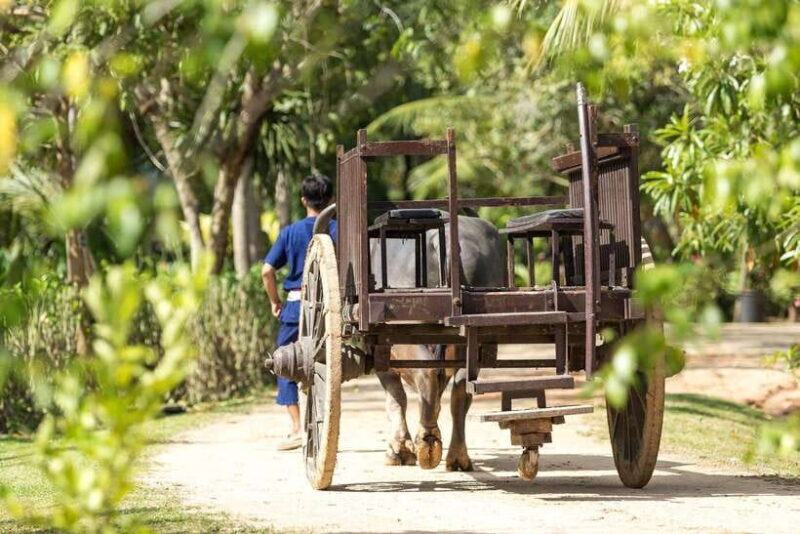 Old Phuket Farm Ticket - Countryside Local Life Culture - In The Sum Up