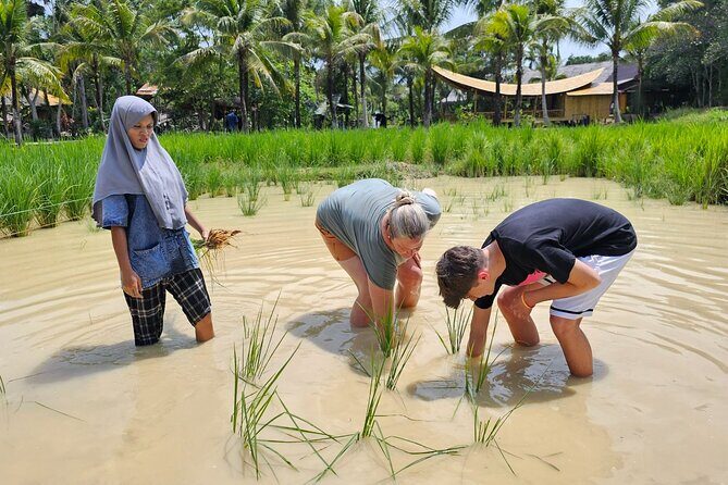 Old Phuket Farm Traditional Phuket Heritage Tour - Rubber Sap and Handmade Sheets: From Tree to Treasure