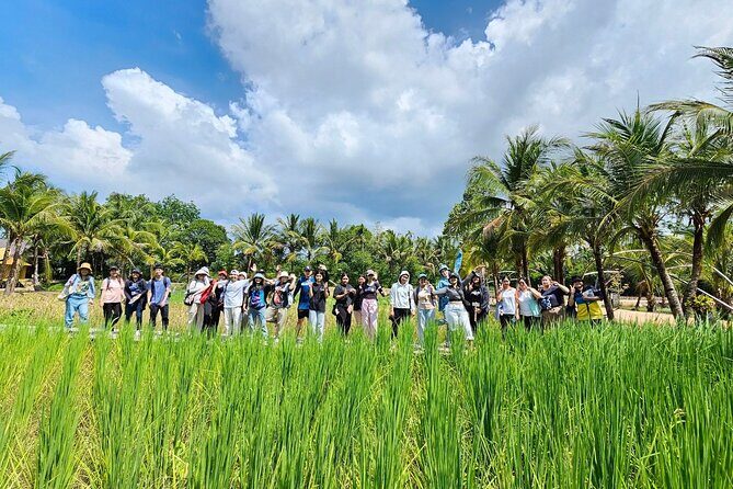 Old Phuket Farm Traditional Phuket Heritage Tour - Rice paddies and harvesting: Witnessing the Rhythm of Nature