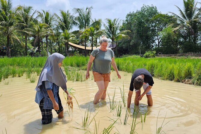 Old Phuket Farm Traditional Phuket Heritage Tour - Tin Panning: A Glimpse into Phukets Mining Past