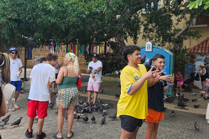 Old St. John Scenic On Cart Minimal Walks - The Sum Up