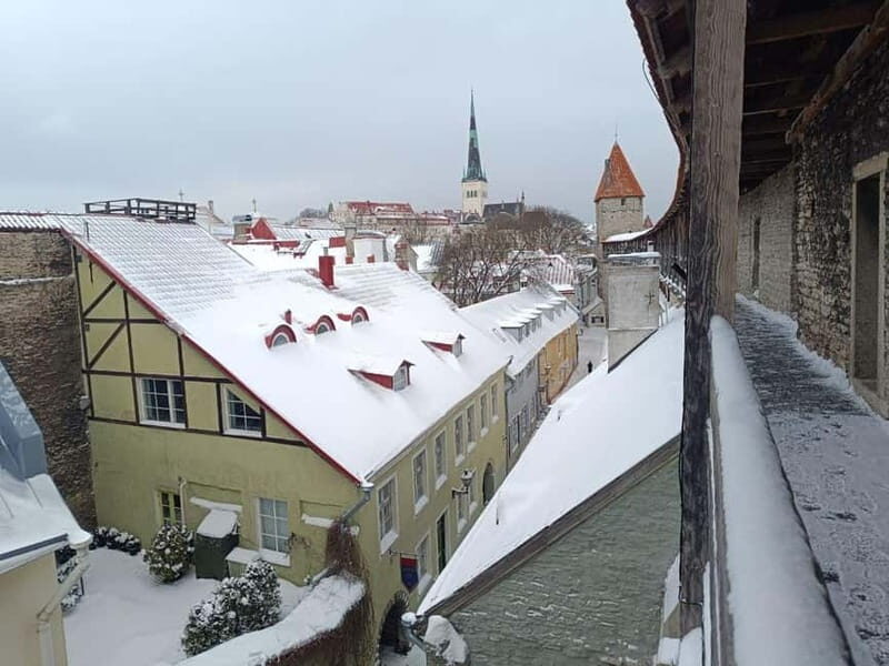 Old Tallinn & Medieval daily life Private Tour - Key Points