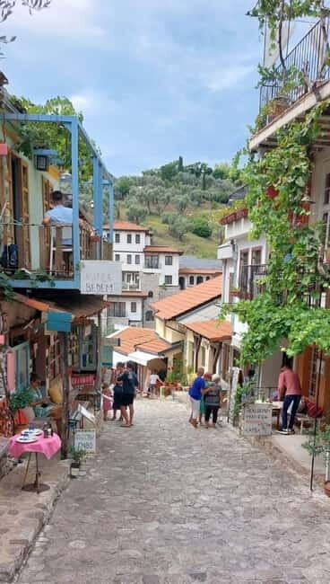 Old Town Bar, Old Olive Tree and the region of olive groves - Old Town Bar, Old Olive Tree and the Region of Olive Groves: A Taste of Montenegro’s Heritage