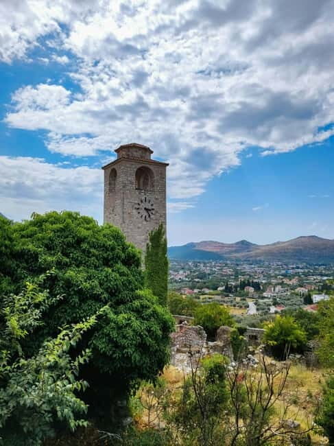 Old Town Bar, Old Olive Tree and the region of olive groves - A Closer Look at the Tour Experience