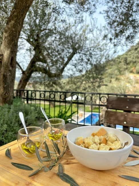 Old Town Bar, Old Olive Tree and the region of olive groves - The Sum Up
