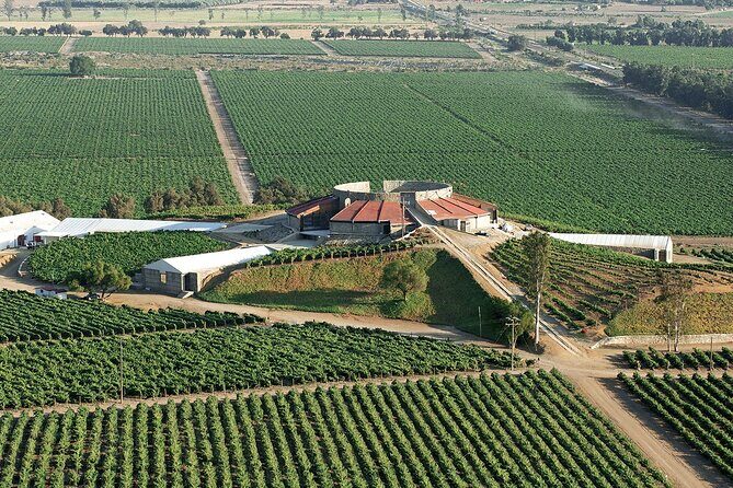 Old Wine Route Tour Experience at Baja California. ALL INCLUSIVE! - Who Should Consider This Tour?