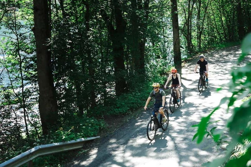 Olden: Guided e-bike tour - Value and Practical Considerations