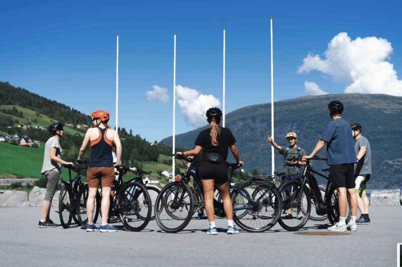 Olden: Guided e-bike tour - Who Is This Tour Best For?