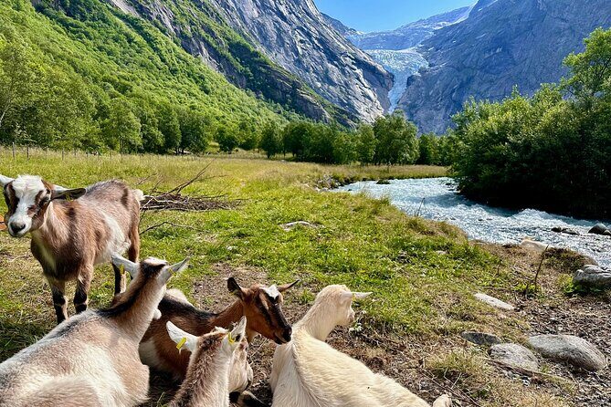 Olden Private Shore Excursion Briksdal Glacier and SkyLift Loen - A Closer Look at the Itinerary