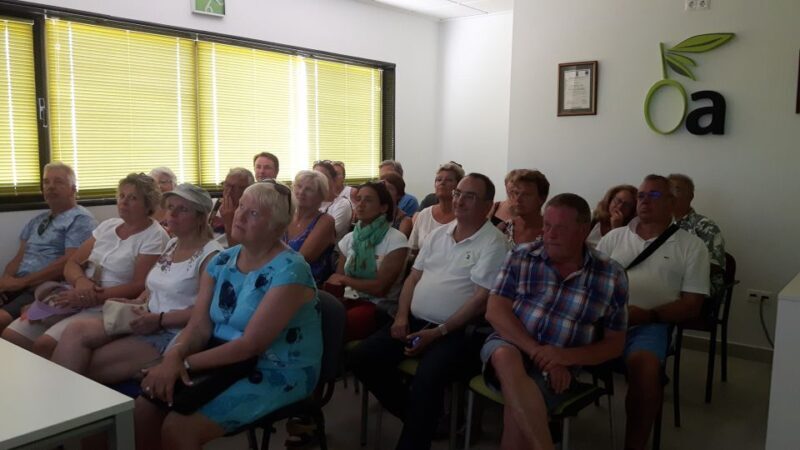 OleoAlmanzora: Guided tour + Masterclass of EVOO tasting Eng - Key Points