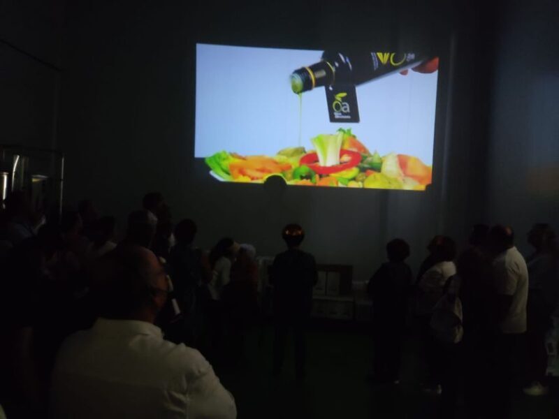 OleoAlmanzora: Guided tour olive groves and EVOO facilities - The Itinerary Breakdown