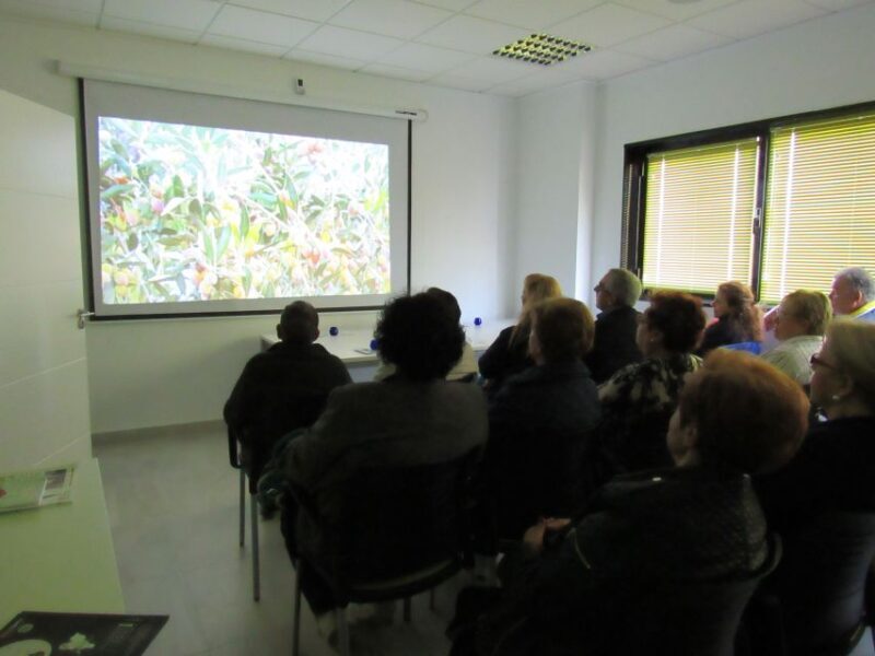 OleoAlmanzora: Guided tour olive groves and EVOO facilities - The Experience in Practice