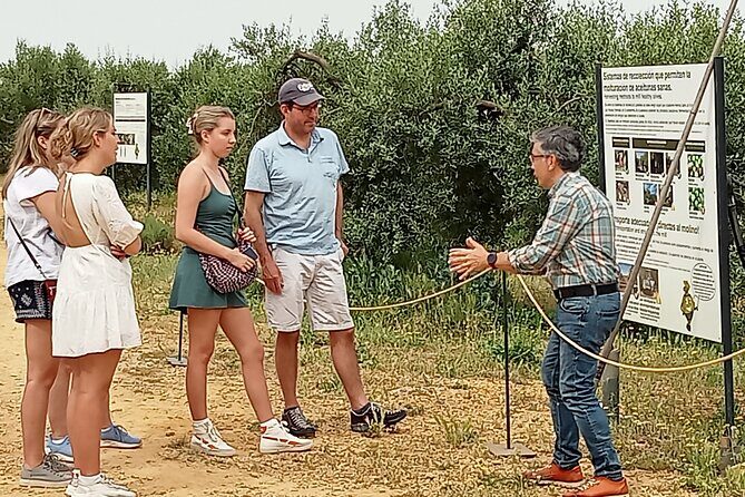 Oleotourism and olive oil tasting in Seville - Private tour - Discovering the True Flavors of Seville: Oleotourism and Olive Oil Tasting at Hacienda Guzmán
