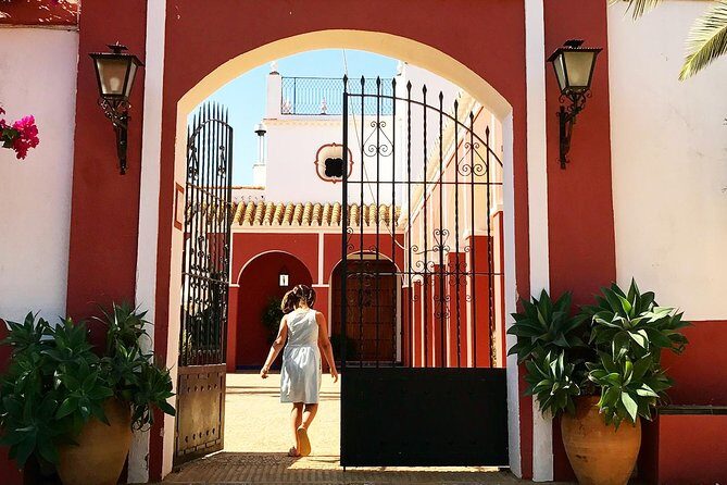 Oleotourism and olive oil tasting in Seville - Private tour - An In-Depth Look at the Oleotourism Experience
