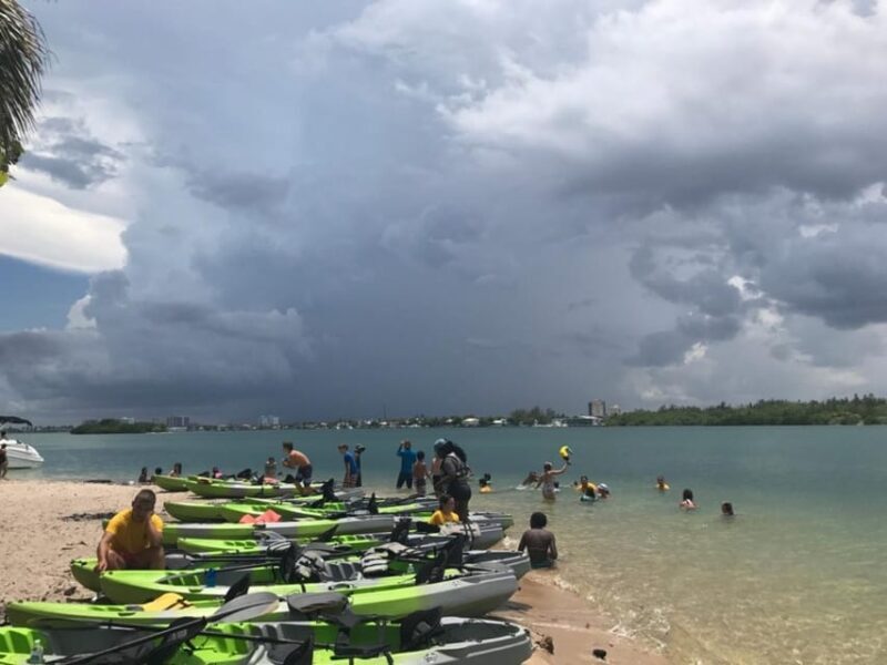 Oleta River State Park: Eco Kayak or Paddleboard Tour - What Is the Oleta River State Park Eco Tour All About?