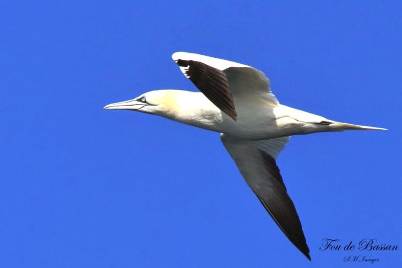 Olhão: 3 Islands Guided Sightseeing Tour with Lunch - The Real Highlights