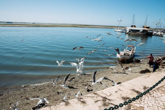 Olhao Authentic Tour: Market and Ria Formosa Natural Park - Exploring Olhão and Its Historic Heart