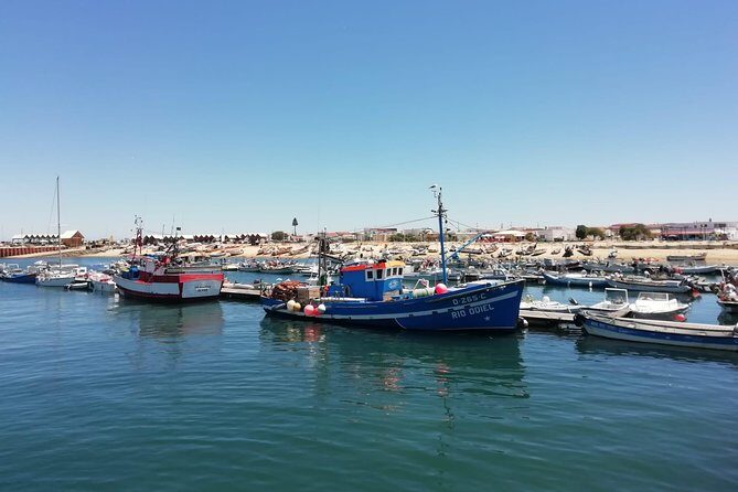 Olhao Authentic Tour: Market and Ria Formosa Natural Park - Logistics and Practicalities