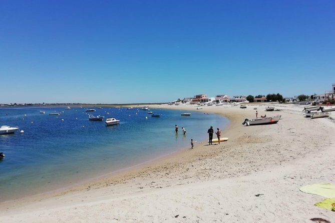 Olhao Authentic Tour: Market and Ria Formosa Natural Park - What the Reviews Say