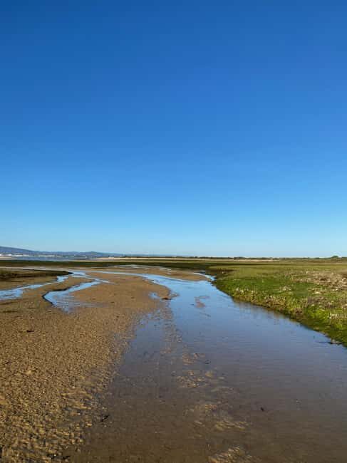 Olhão: Beautiful Exclusive Route: Private Boat Rental with Skipper - Introduction: Why This Private Boat Tour Might Be Your Ideal Algarve Experience