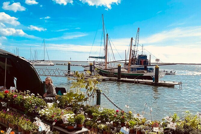 Olhão Fish Market & Food Tour - Key Points