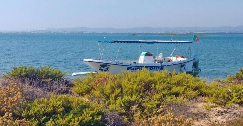 Olhão: Private Boat Tour to Ria Formosa - The Value of a Private Tour