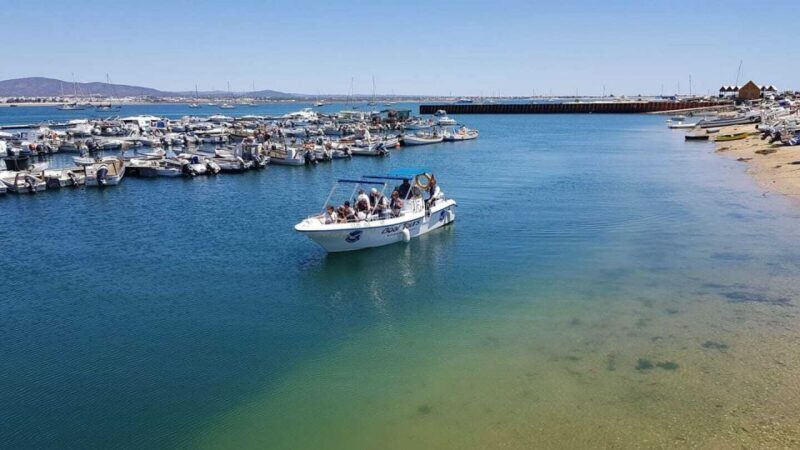 Olhão: Private Boat Tour to Ria Formosa - Who Will Love This Tour?