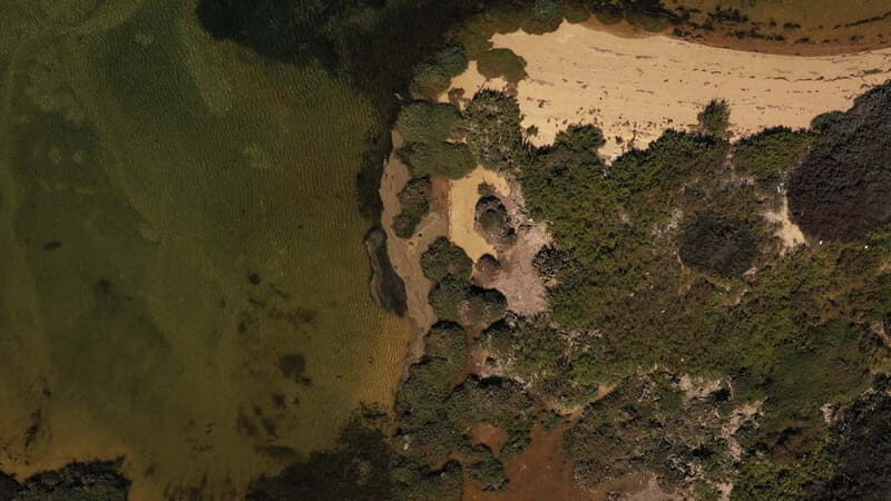 Olhão: Ria Formosa National Park and Islands Boat Cruise - FAQs