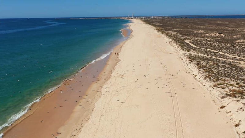 Olhão: Ria Formosa National Park Boat Cruise - Practical Tips for Making the Most of Your Trip