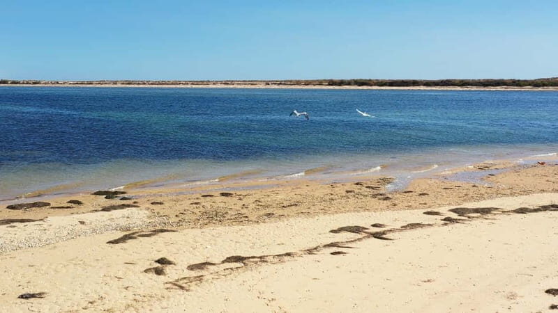 Olhão: Ria Formosa National Park Boat Cruise - The Verdict: Who Will Love This Tour?