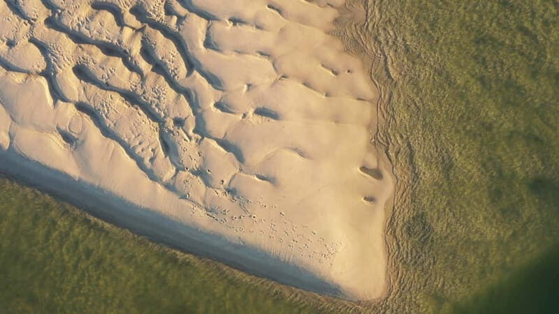Olhão: Ria Formosa National Park Boat Cruise - FAQ