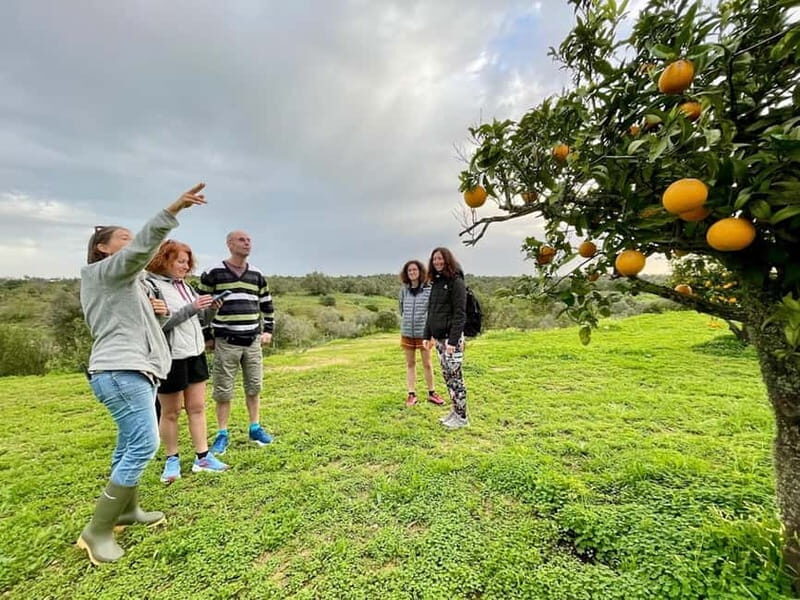 Olhao: Visit to an orange grove, and Silves, orange capital - A Fresh Look at Algarve’s Orange Grove and Silves Tour