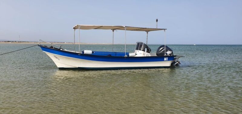 Olhão:5h ride 3 stops on the beaches and islands Ria Formosa - An Authentic Taste of Algarve’s Coastal Paradise