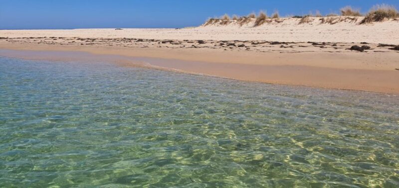 Olhão:5h ride 3 stops on the beaches and islands Ria Formosa - FAQ