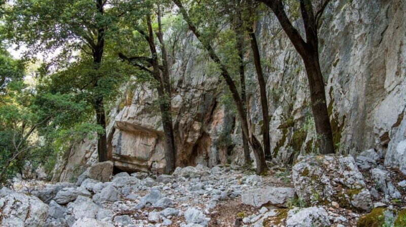 Oliena: Sa Nurre de Su Hoda Cave Hiking - Practical Tips for Your Trip