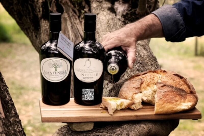Olive grove tour with tasting - Matera - Key Points