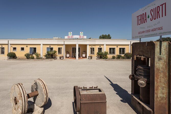 Olive harvest, visit to the oil mill and typical lunch - Practical Details and Tips