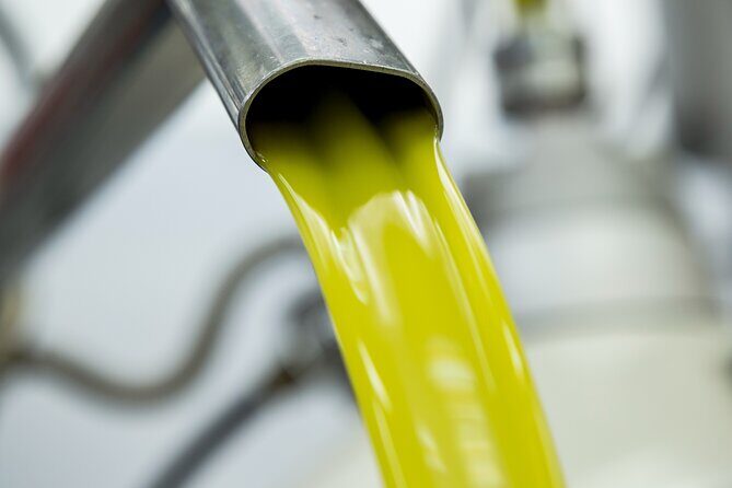 Olive harvest, visit to the oil mill and typical lunch - FAQs