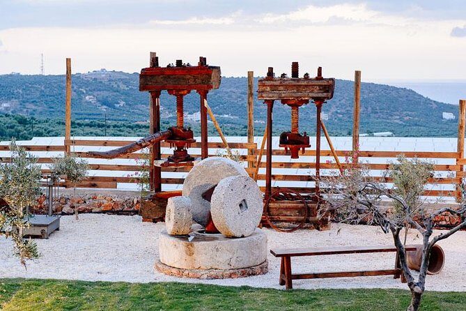 Olive Mill Festival - Discovering the Olive Mill Festival
