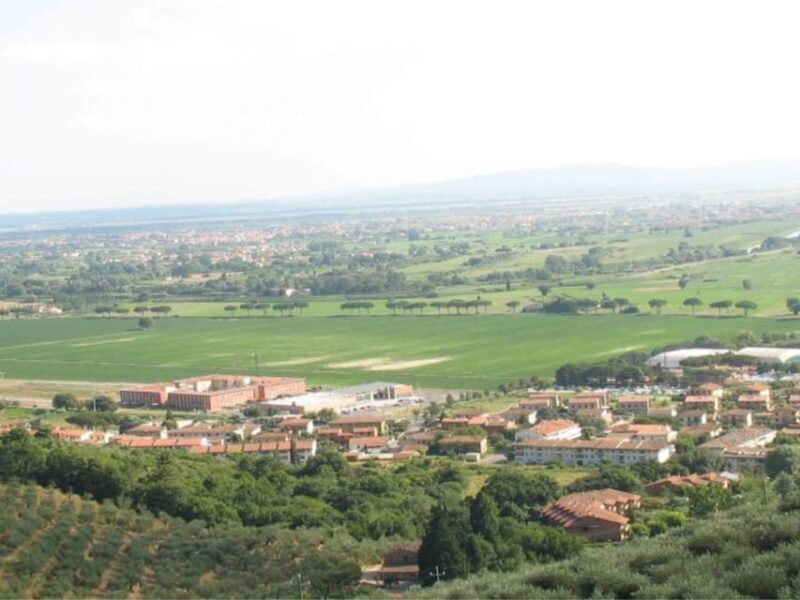 Olive Mill Tour with Oil and Food Tastings near Pisa - Key Points