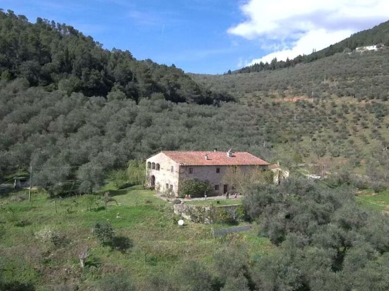 Olive Mill Tour with Oil and Food Tastings near Pisa - Who Will Love This Tour?