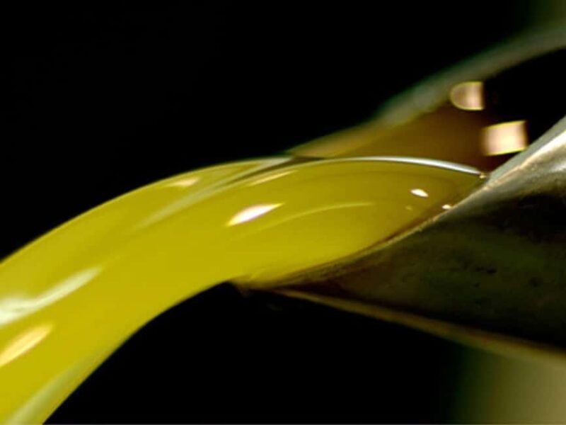 Olive Mill Visit & Guided Tasting in Taggia - Key Points