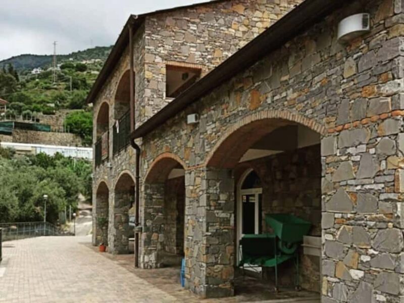 Olive Mill Visit & Guided Tasting in Taggia - Details & Practicalities
