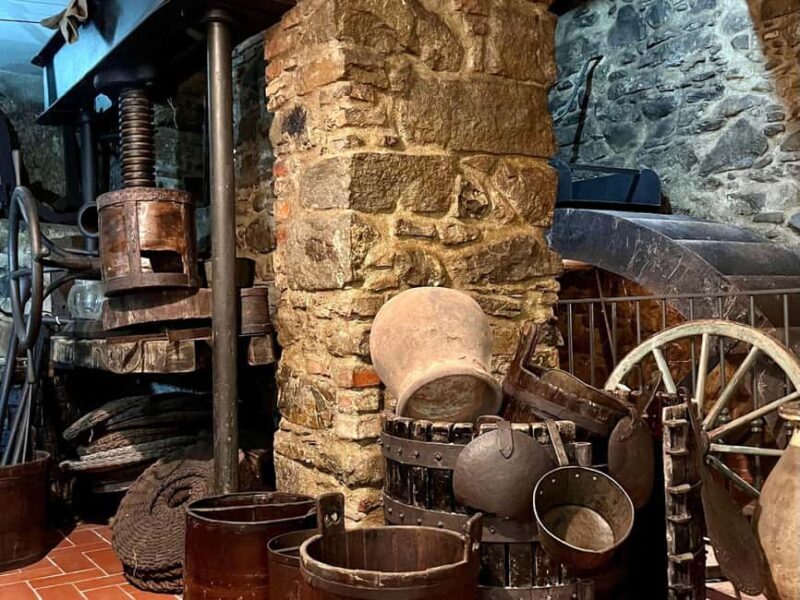 Olive Mill Visit & Guided Tasting in Taggia - Who Should Consider This Tour?