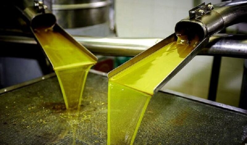 Olive Mill Visit & Olive oil Tasting 3-hour Trip Private - Practical Details: What You Need to Know