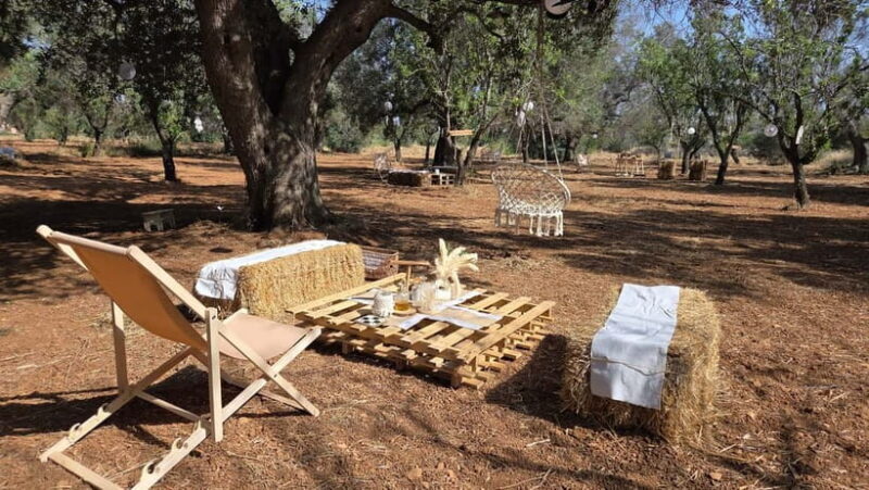 Olive Oil and almond Tour and Tasting: Brindisi, Ostuni - Who Will Love This Tour?