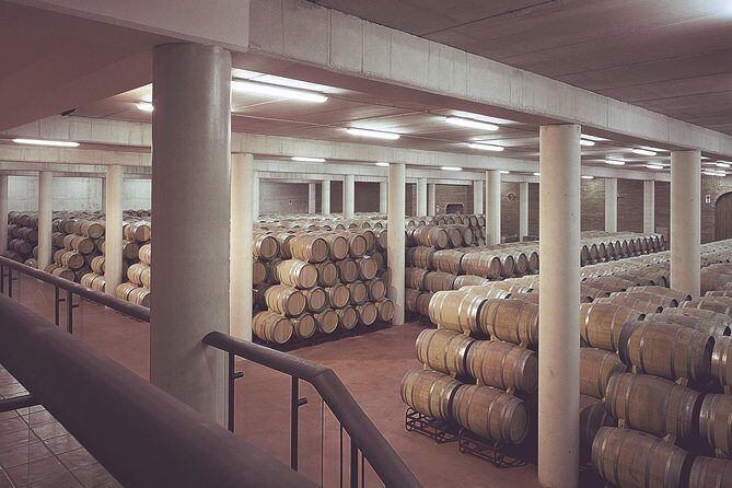 Olive oil and Navarre winery visit with tastings and lunch in small group tour - Who Will Love This Tour?